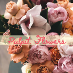 Home - Unitarian Universalist Church of Buffalo